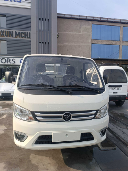Foton Truck Mate 2