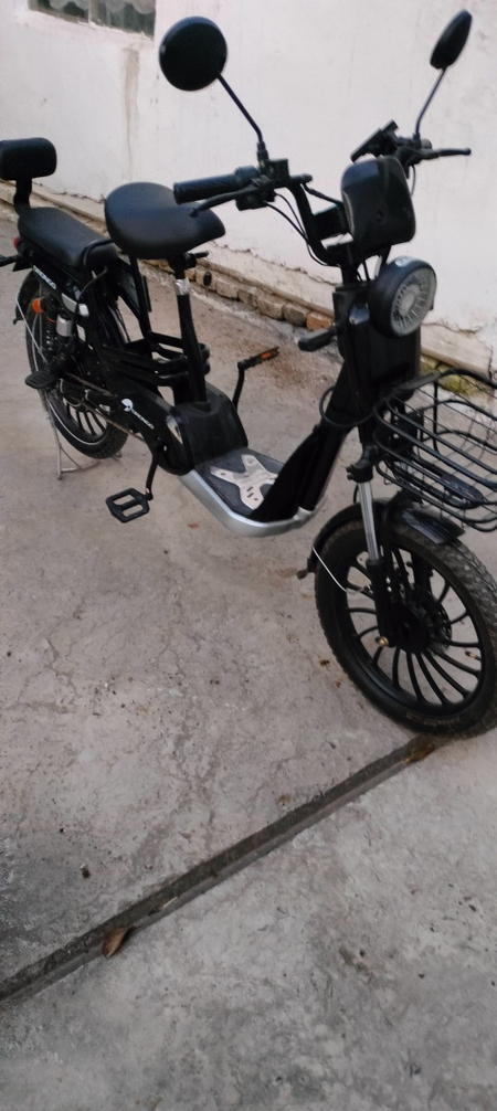 Elektro Velosoped