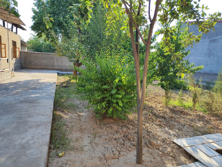 Sirochni  Uy sotiladi 6 sotix 5 xona