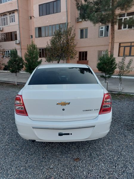 Cobalt 2025 pachka