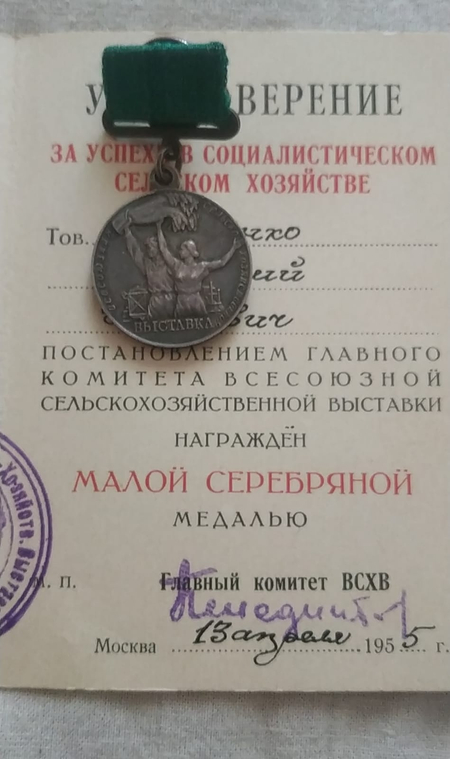 Малая серебрянная медаль ВЛНХ.