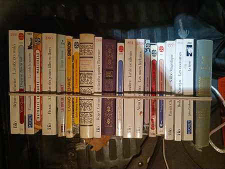 90+ книг на французском языке