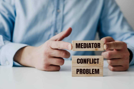 Professional mediator xizmati