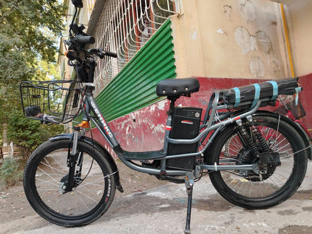 Elektrovelik 24R
