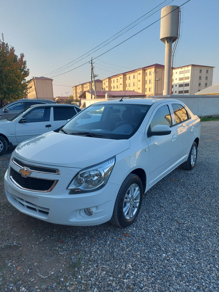 Cobalt 2025 pachka