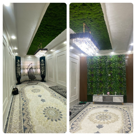 Tan house katedj