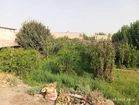 Shaharda yer maydoni sotiladi
