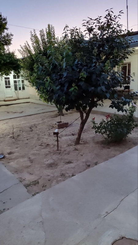 Srochnaaaaa bez makler 5xonalik hovli sotiladi