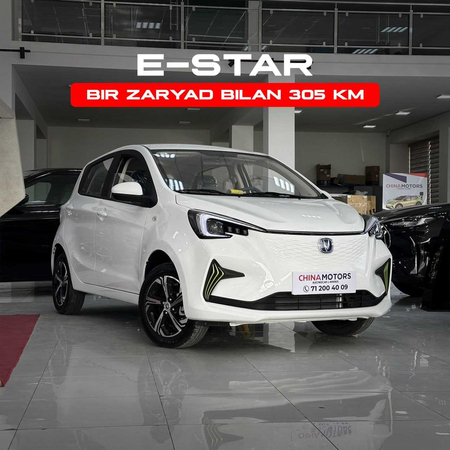 Changan Ben-Ben E-Star
