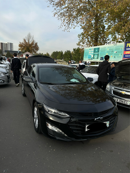 Malibu  XL   2023