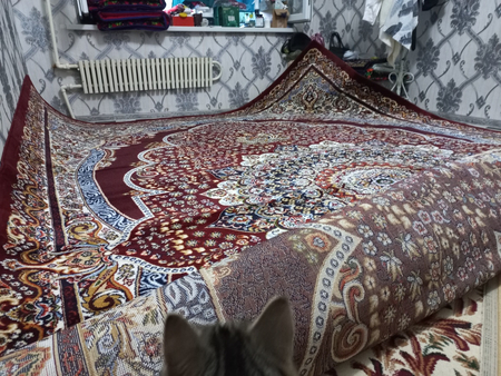 Yangi holatdagi Gilam sotiladi