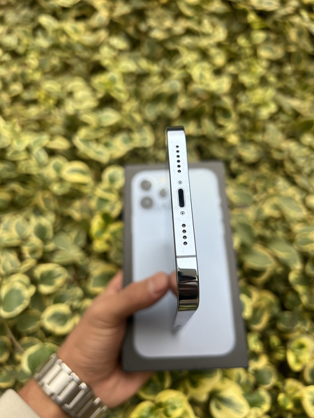 Iphone 13 pro max silver blue