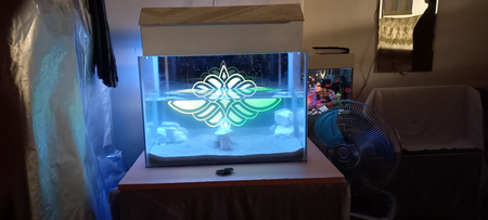 Akvarium zakazga evro kromkali