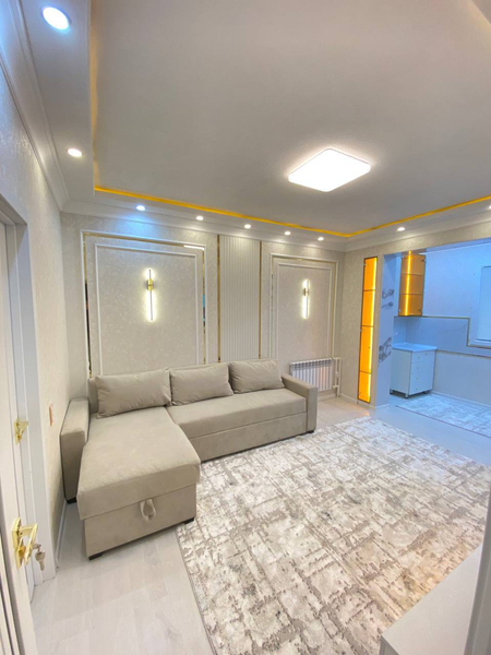 Метро Мирзо Улугбек 2*3/2/4 Зеркалка С мебелом техника  Евро ремонт