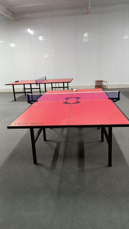 Stol tenis na zakaz v Tashkente.