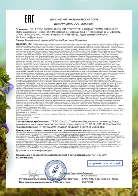 Lion's mane  Ежевик Гребечатый - 100% натуральный гриб ноотроп.
