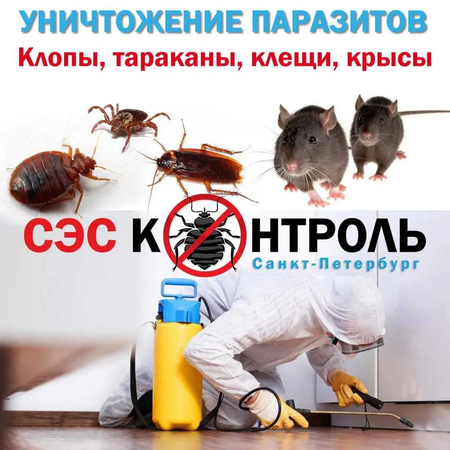 Dezinfeksiya дезинфекция