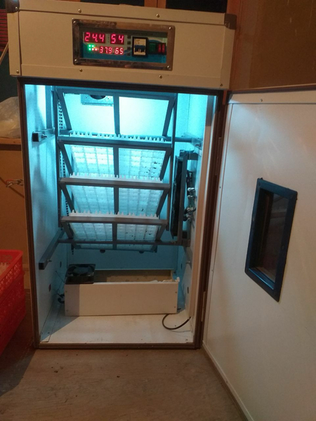 Inkubator ochadigan aparat