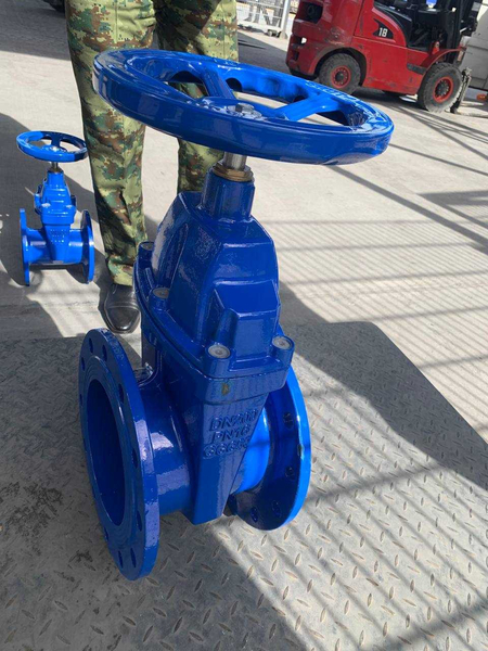Задвижка чугунная 200 мм Zadvishka chugun 200mm