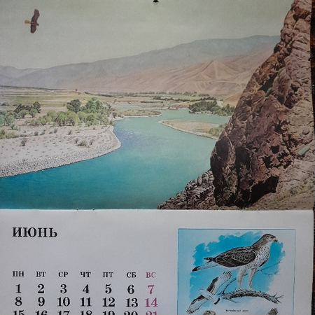 Календаоь настеный птицы узбекистана