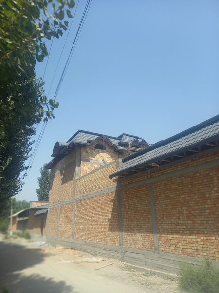 Том ёпиш хизмати Тошкент буйлаб
