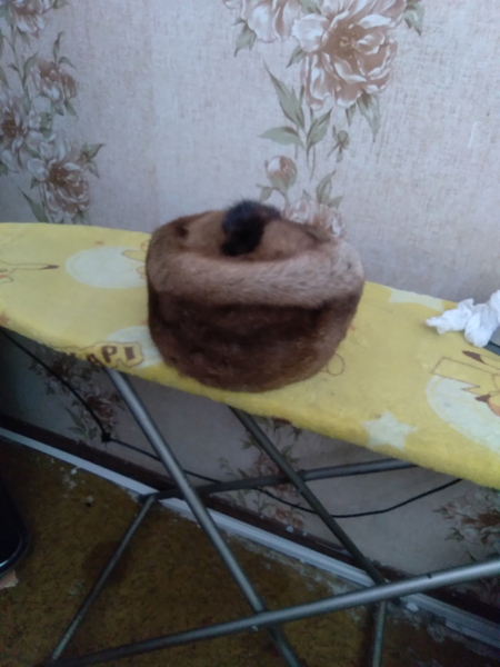 Женские мехавые шляпы