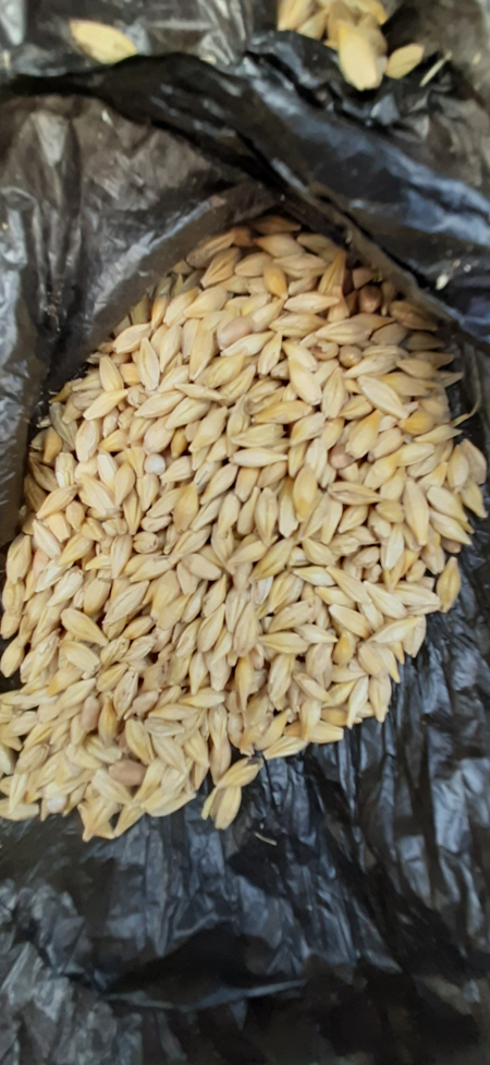 Арпа,ечмен махсулотлари Казахстан продукт прямой вагон !!!
