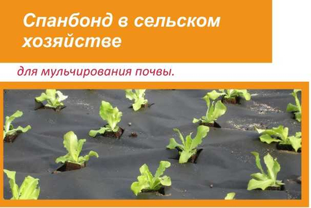 Агроволокно (Спанбонд) , пл. - 30, 42, 60 (3,2*200).  с  UF