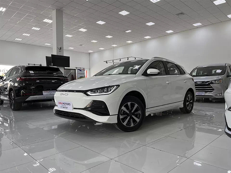 Byd E2 luxury 2024