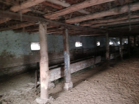 Ferma, molxona sotiladi