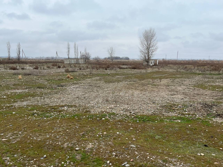 Тошкент вилояти Янгийул тумани