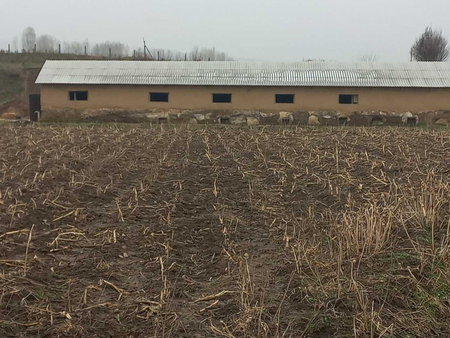 Чорва ферма бино-иншоотлари