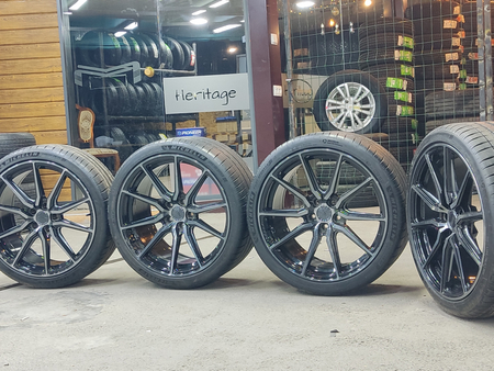 Vossen orginal, Amerika. R20