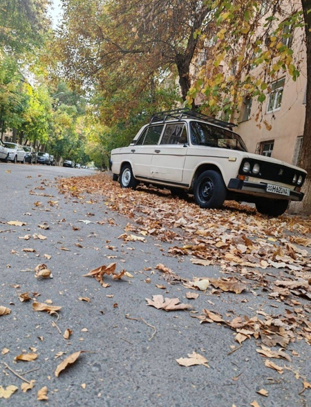 Juguli 06 sotiladi sirochni