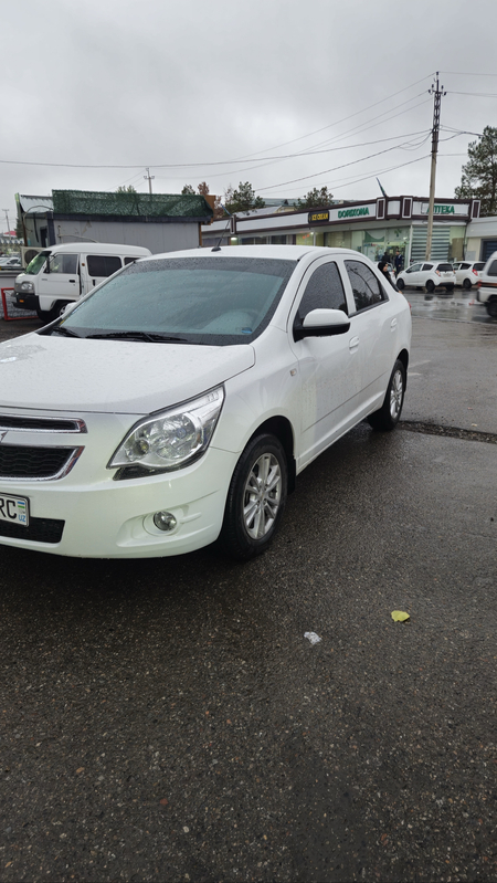 Cobalt 2024  Kraska Toza 11.800 km
