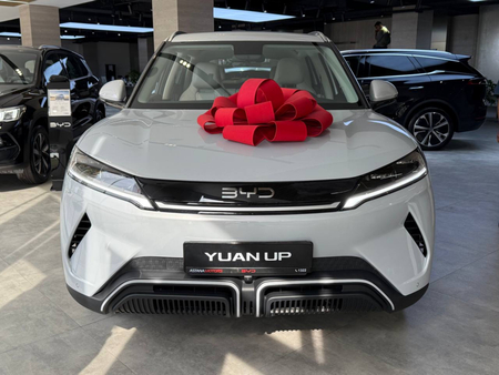 BYD Yuan Up 2024