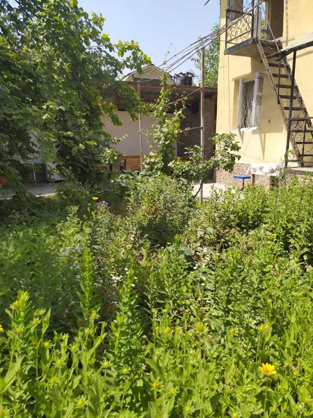 Сдается дача с большим бассейном. Своя.