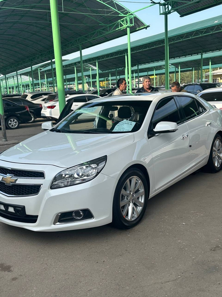 Malibu 1 2 pozitsa