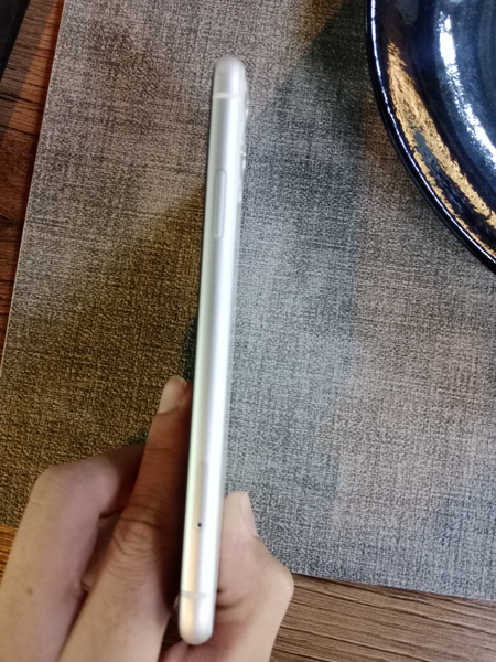 Iphone 11 hamma joyi radnoy