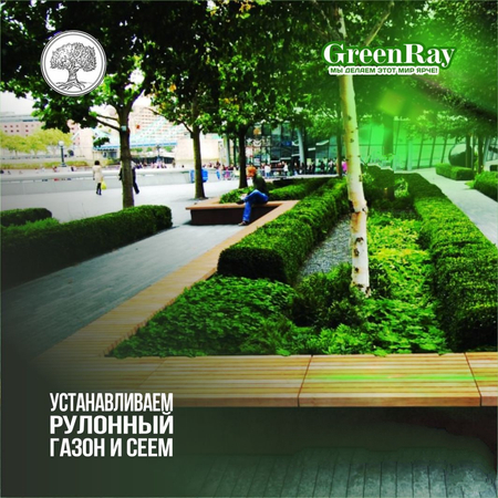 ГАЗОН качественно Sifatli Gazon sepamiz va yotqizamiz gazongreenray