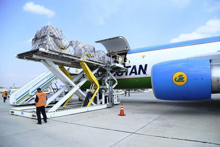 Express Ruchnoy. Aviadostavka, Aviaperevozka, kargo Istanbul -Tashkent