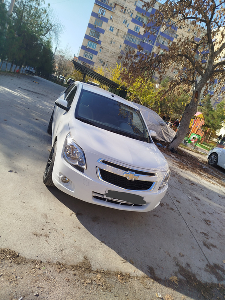 Vikup Cobalt 2024/2024