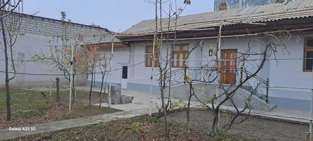 Срочно продается земля в махале Олмос