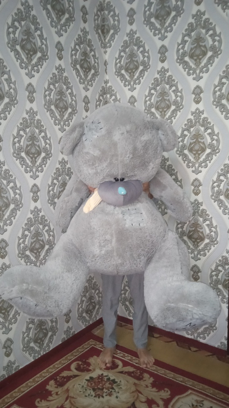 Teddi ayiq kattasi