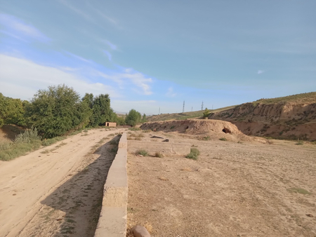 Газалкент 4 гектара