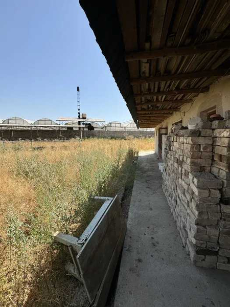Аренда 3 комнатная, 22 сотихли  Участка Ункургонда БУМ 200$ ID SH 507