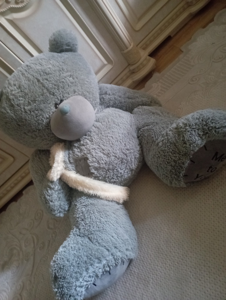 Teddy bear. Мишка большой