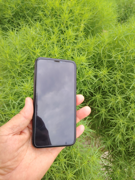 IPhone 11pro срочно
