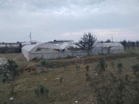 Parnik sotiladi kontinerdan qilingan ayrim sabalarga kora sotilgapti