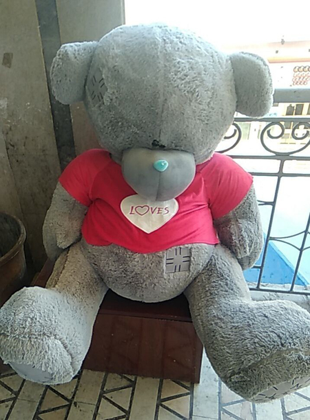 Teddy ayiglarmiz
